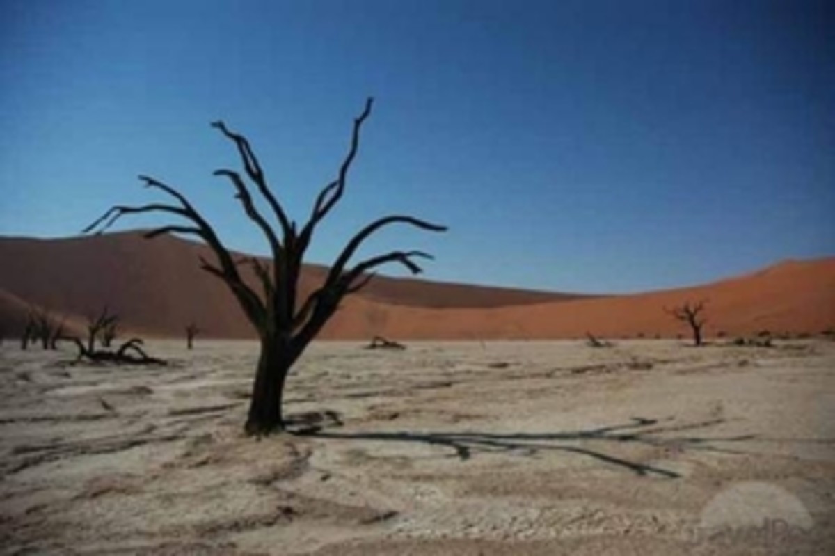 9 of the World's Hottest Deserts - HubPages