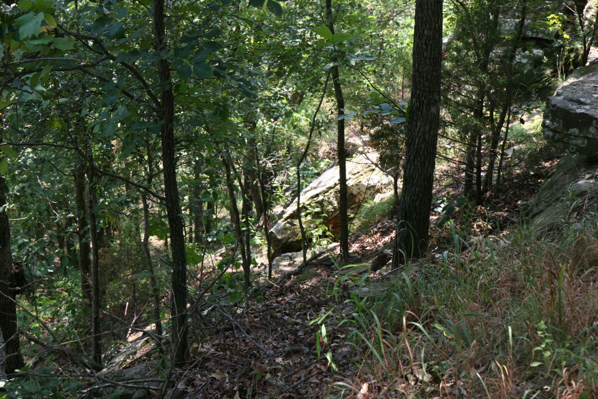 Pea Ridge: Bloody Turning Point West of the Mississippi - HubPages