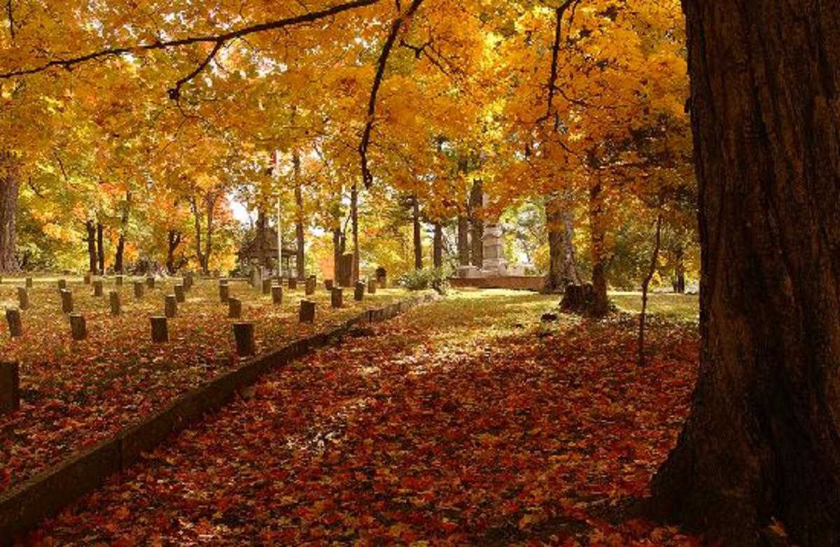 Pea Ridge: Bloody Turning Point West of the Mississippi - HubPages