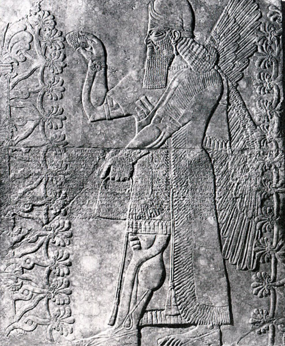 Early plant breeding from wild to domesticates-A trek to evolutionary ...