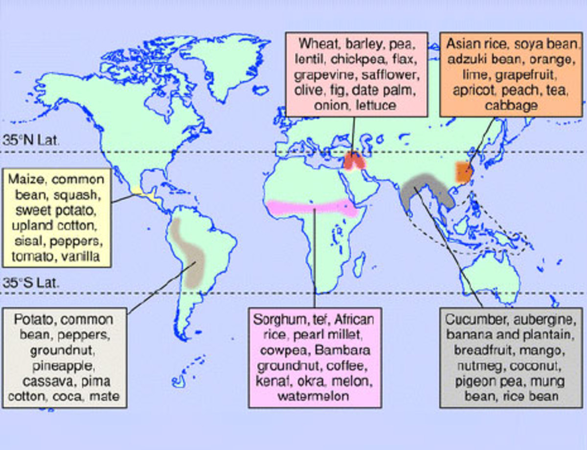 Early plant breeding from wild to domesticates-A trek to evolutionary ...