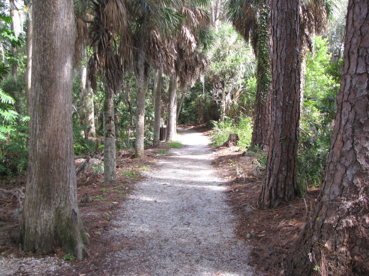 Visiting A.L. Anderson Park: Tarpon Springs, Florida - HubPages