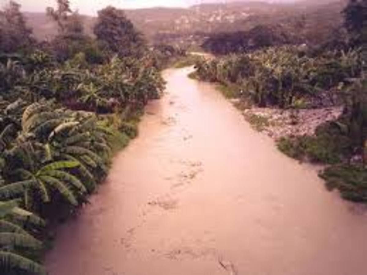 The Mysterious Maria Cacao and Her Golden Ghost Ship(Mountain Goddesses ...