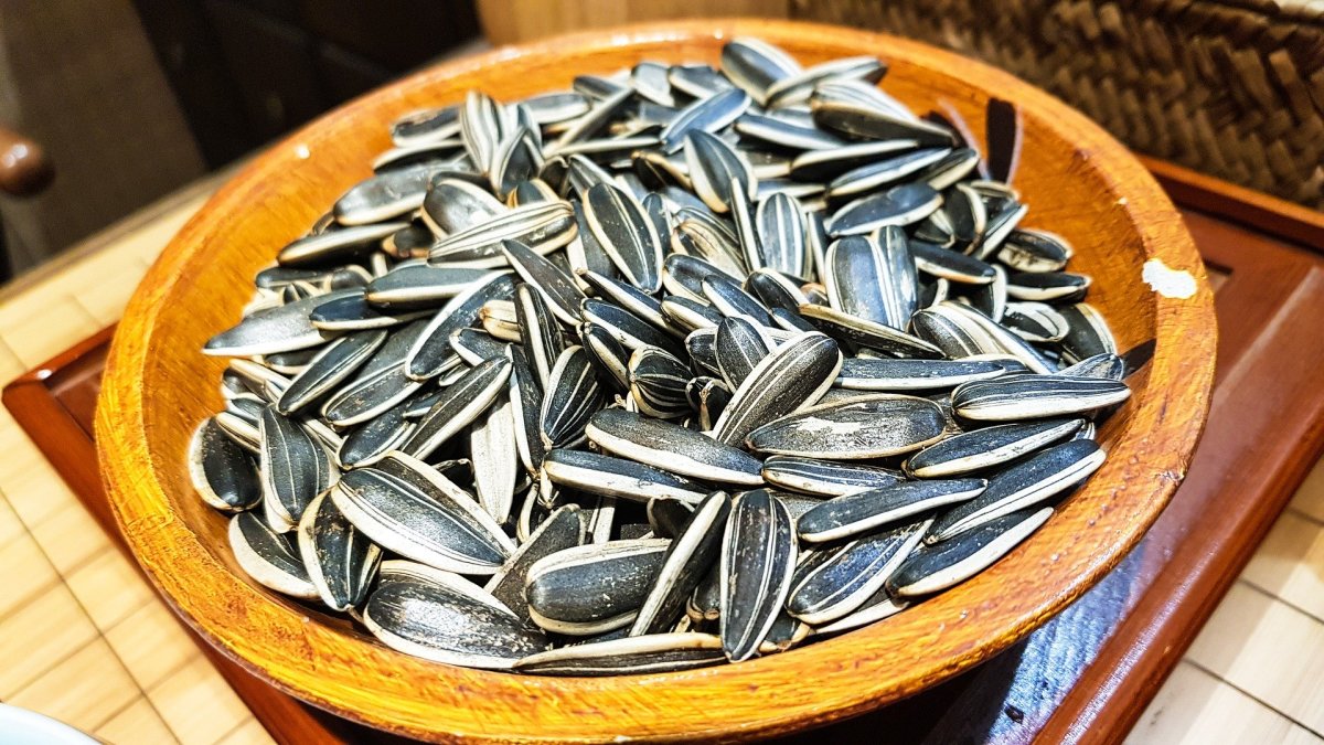 How to Process Sunflowers for Seed Saving or Roasting - HubPages