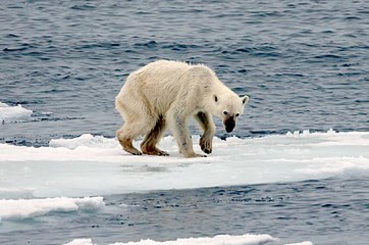 How Real Is Climate Change? - HubPages