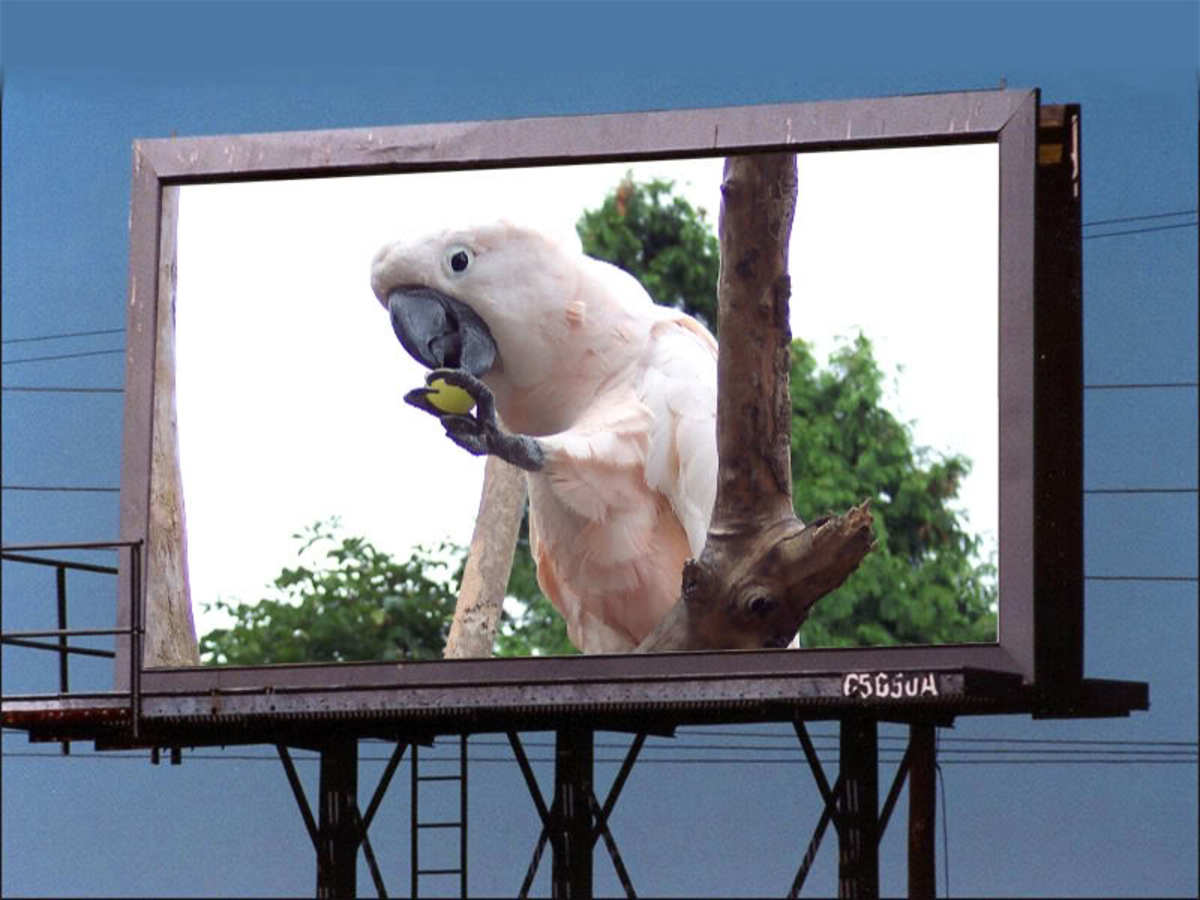 Pimp Your Images - Using Free Online Image Editors - HubPages