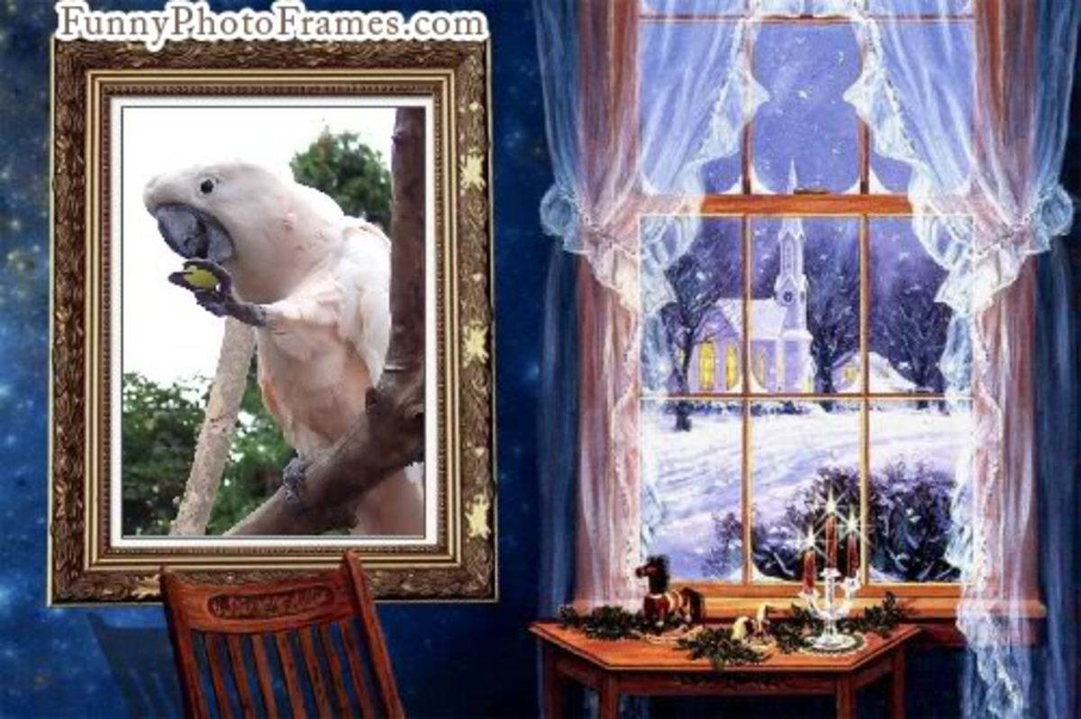 Pimp Your Images - Using Free Online Image Editors - HubPages