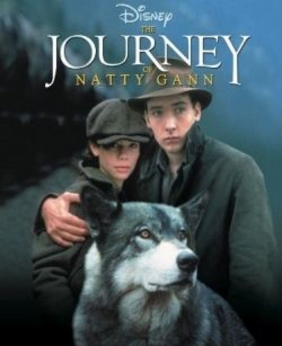 Jed the Movie Dog - HubPages