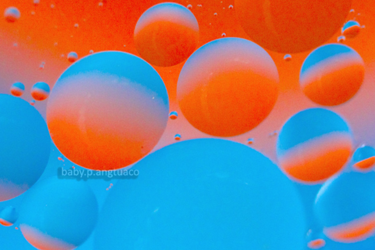 Guess What? Close up Photos of Some Common and Natural Objects - HubPages