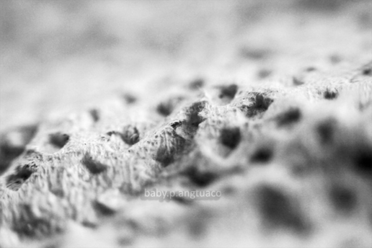 Guess What? Close up Photos of Some Common and Natural Objects - HubPages