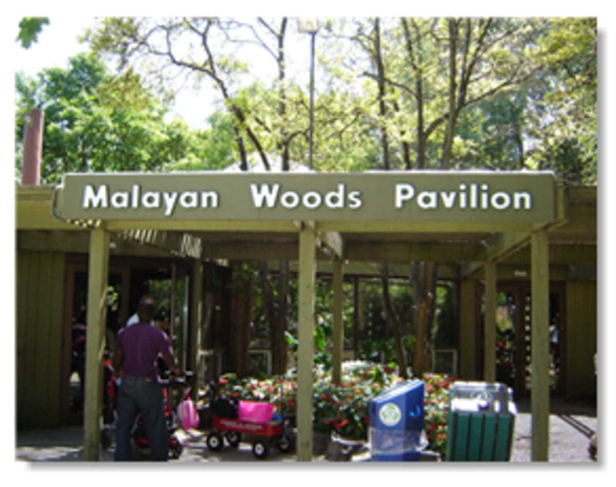 Toronto Zoo Canada - HubPages