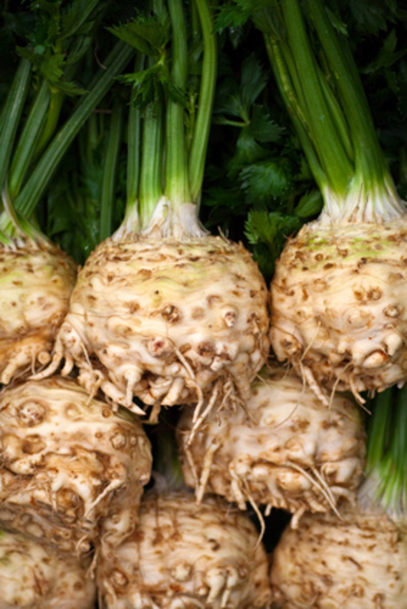 Celery: European & Asian Varieties and Uses - HubPages
