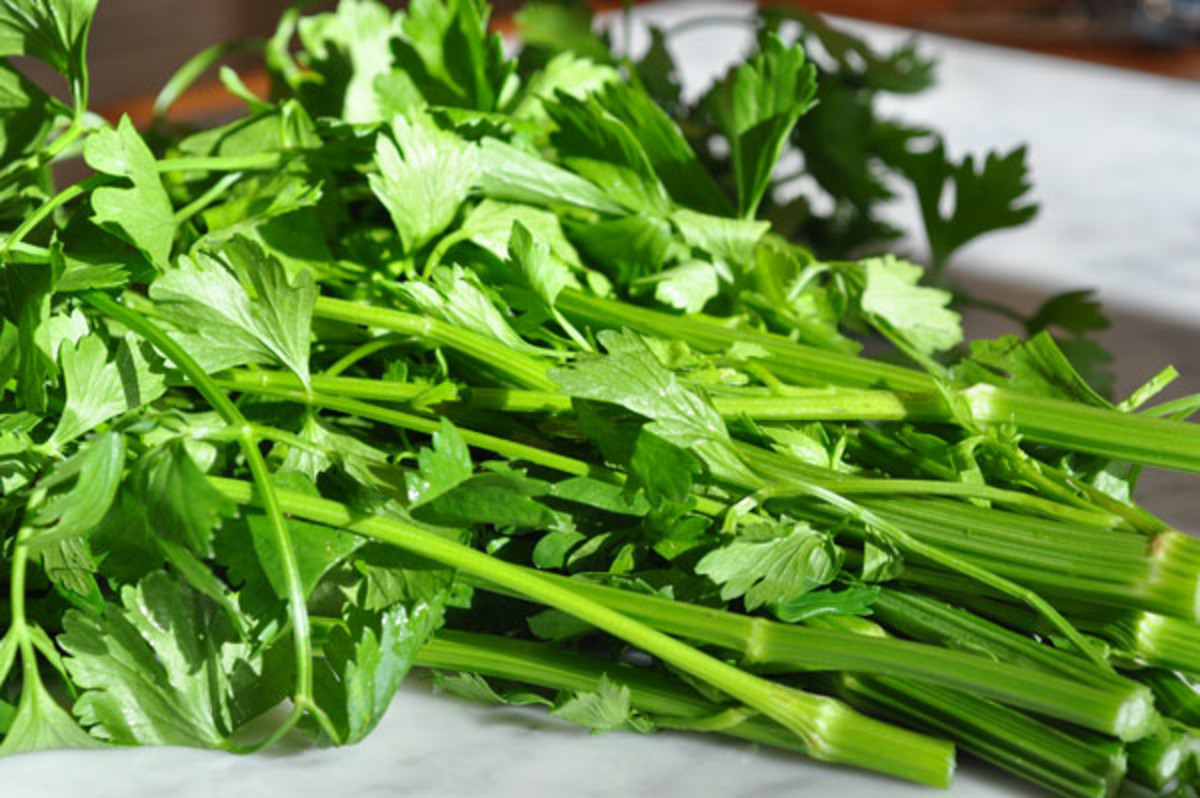 Celery: European & Asian Varieties and Uses - HubPages
