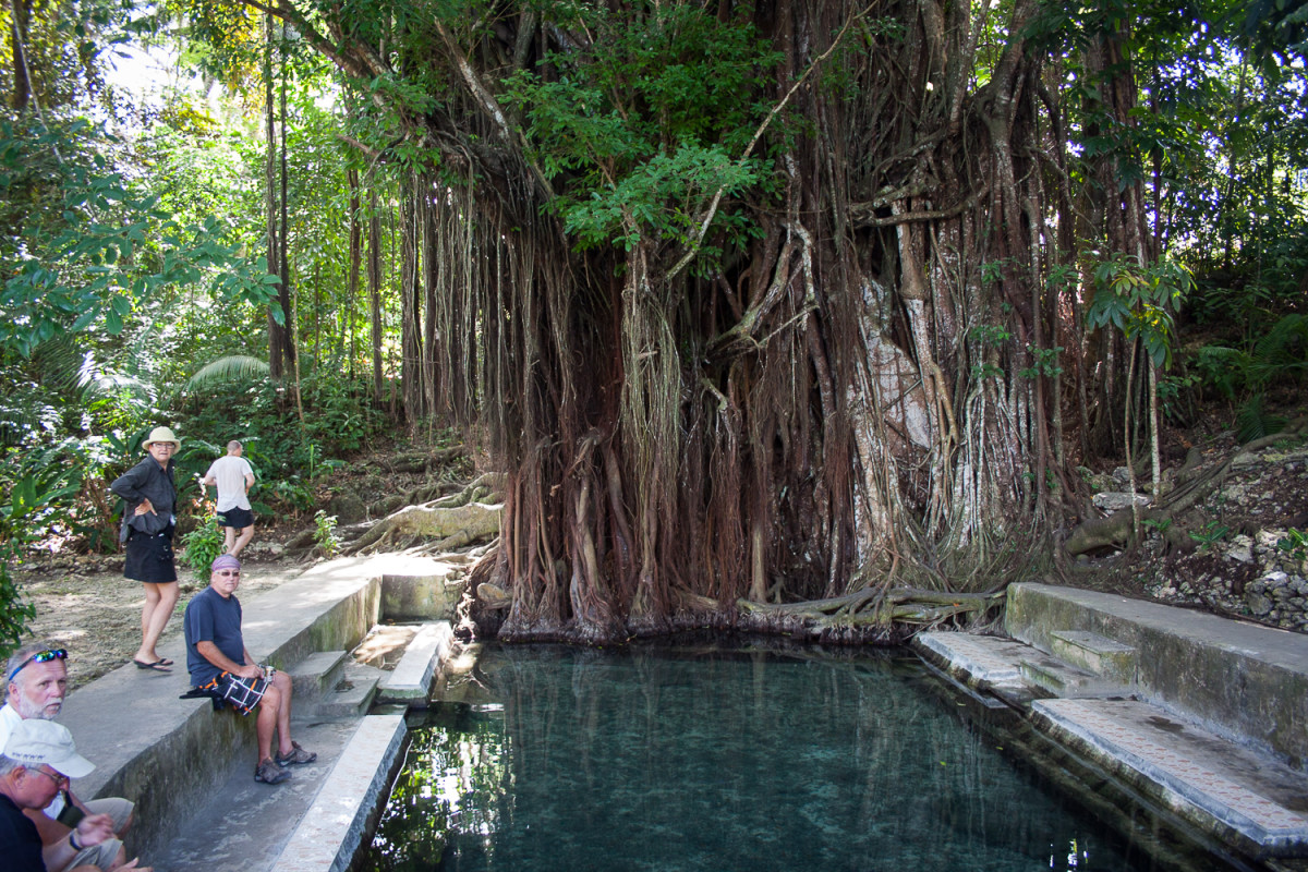 Philippine Folklore: The Tikbalang Or Centaur - HubPages