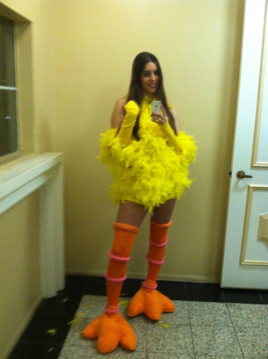 Big Bird Costumes - HubPages