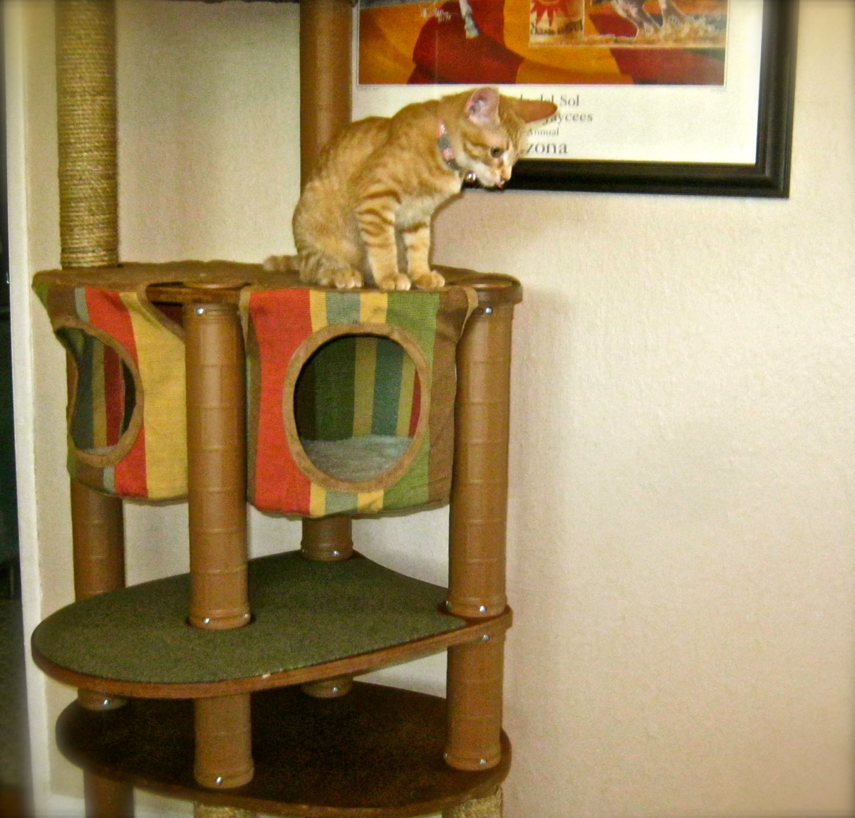 Solvit Kittyscape Cat Tree House: Product Review - HubPages