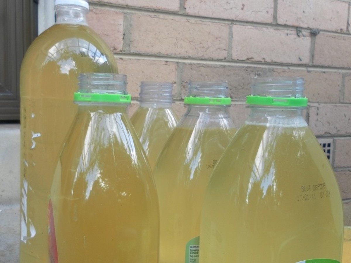 DIY Eco-Friendly Enzymatic Cleaner and Citrus Insect Spray - HubPages