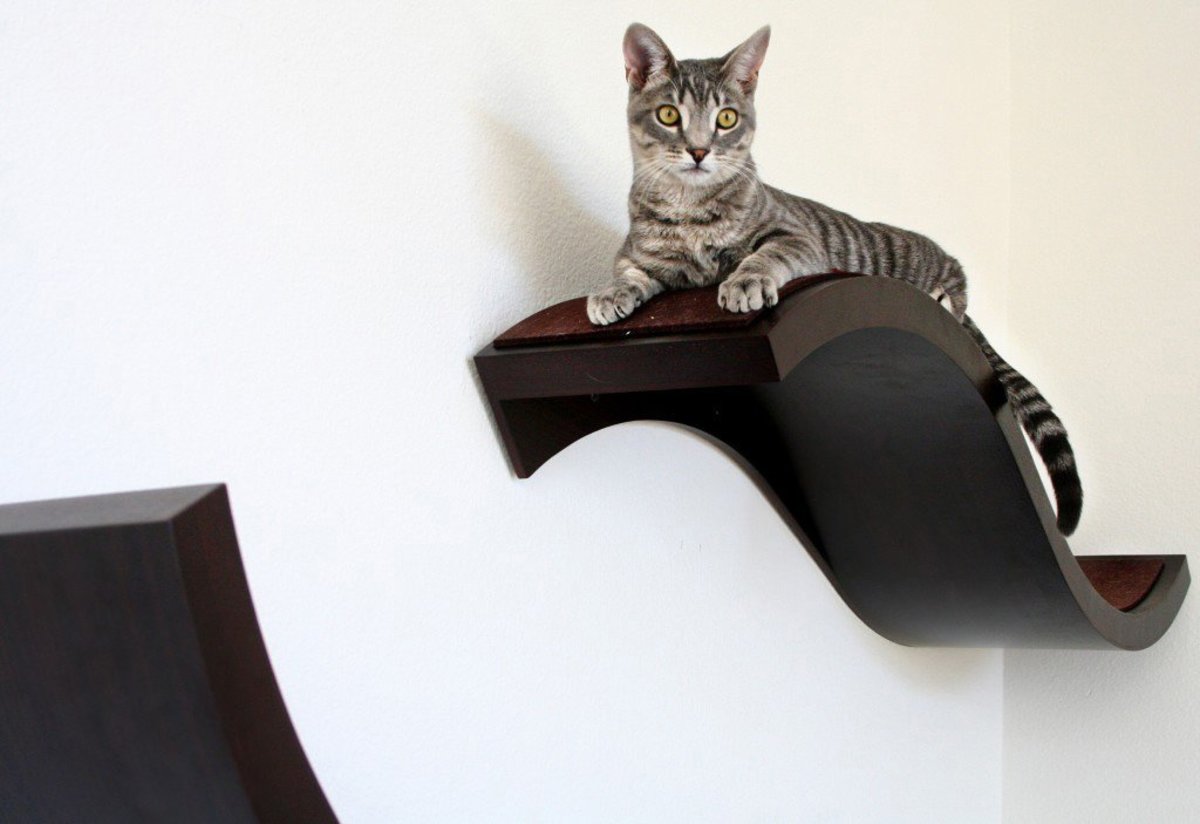 7 Best Cat Towers and Cat Houses Reviewed - HubPages