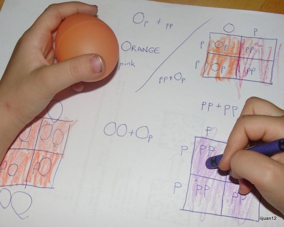 Genetics STEM Lesson Plan - HubPages