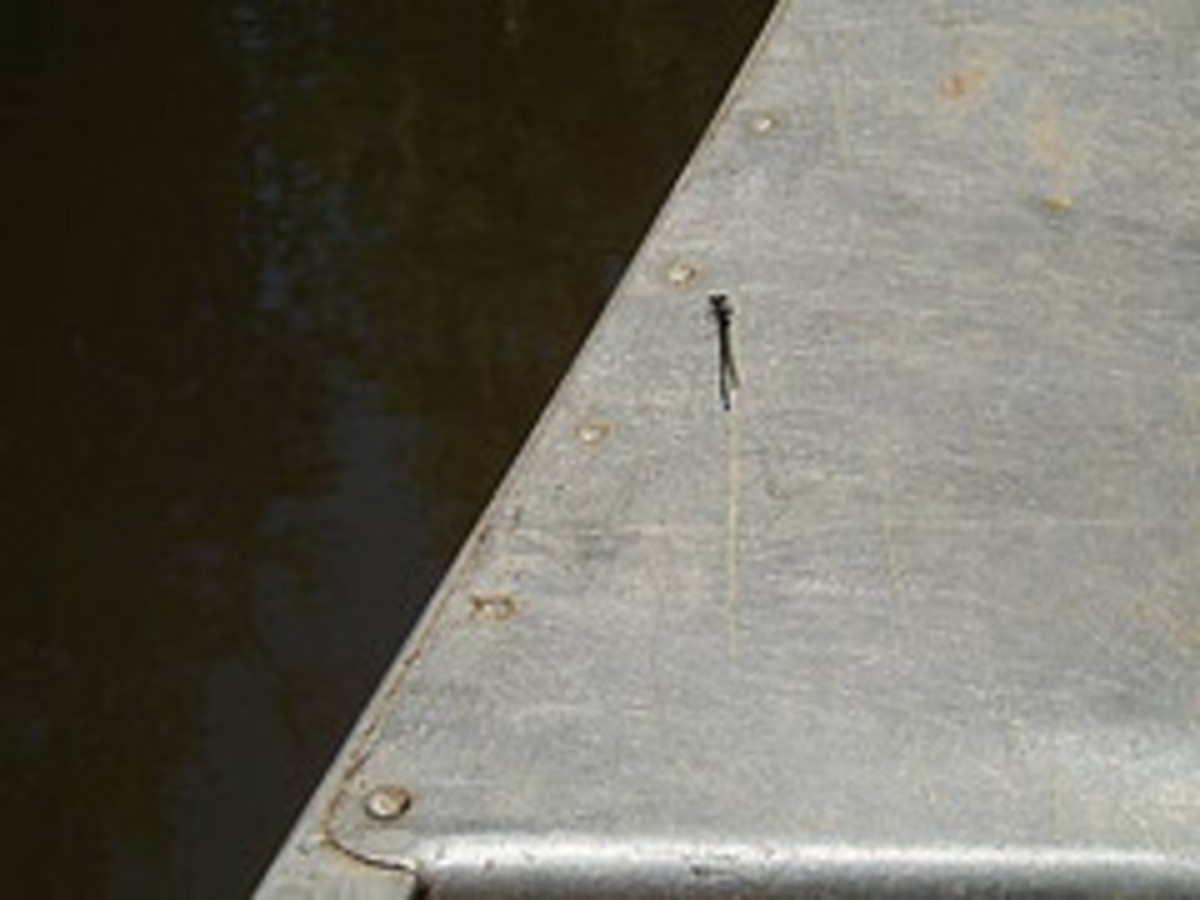 Canoeing the Tchefuncte River - HubPages
