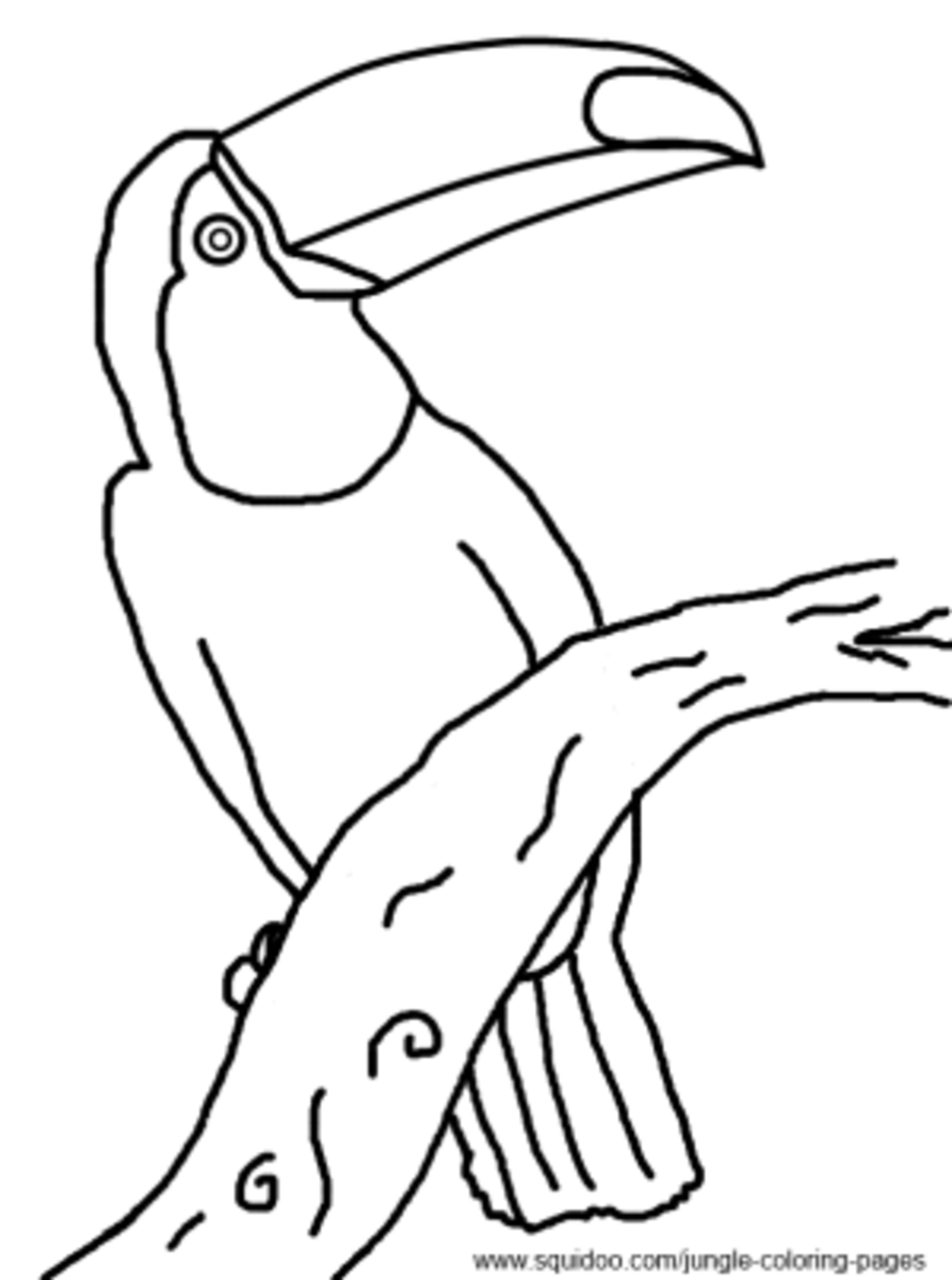 Jungle Coloring Pages - HubPages