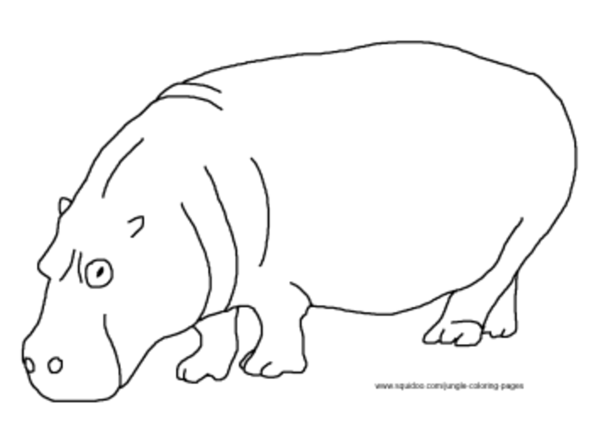 Jungle Coloring Pages - HubPages