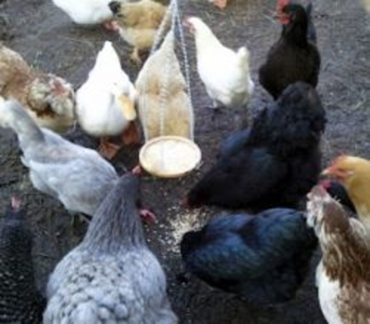 Sewing With Window Screen - How To - HubPages