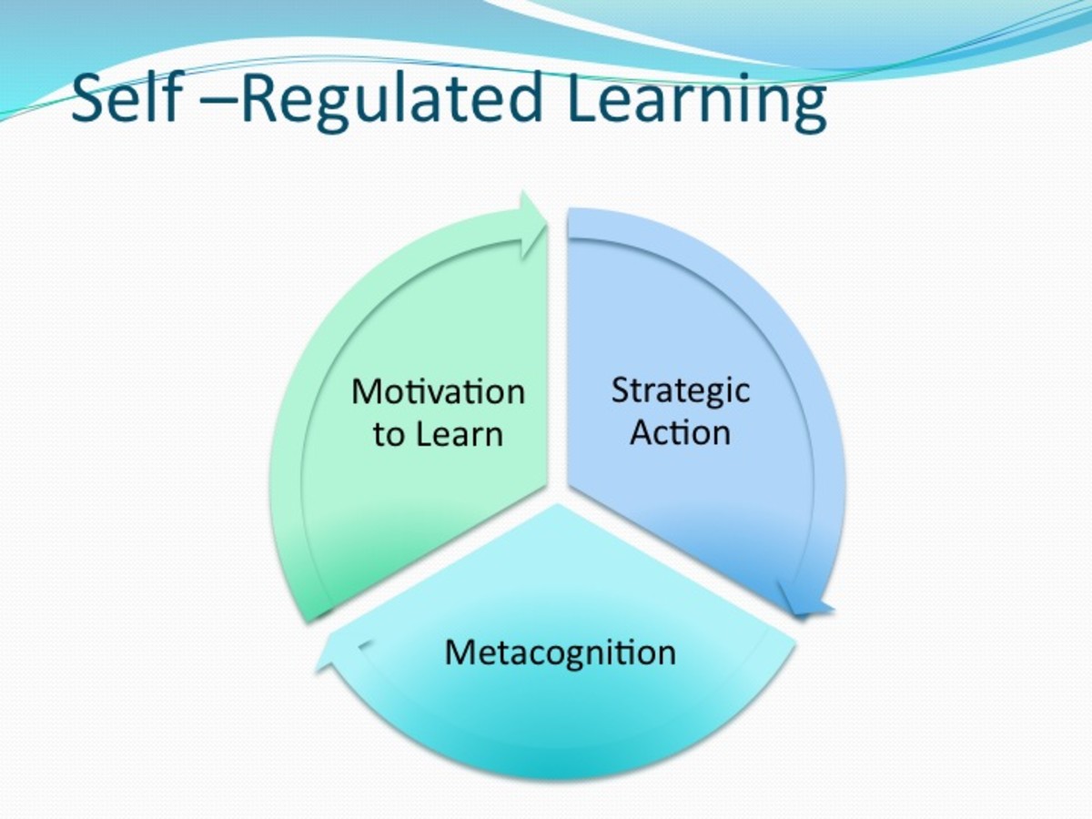 How to be a Self-Regulated Learner - HubPages