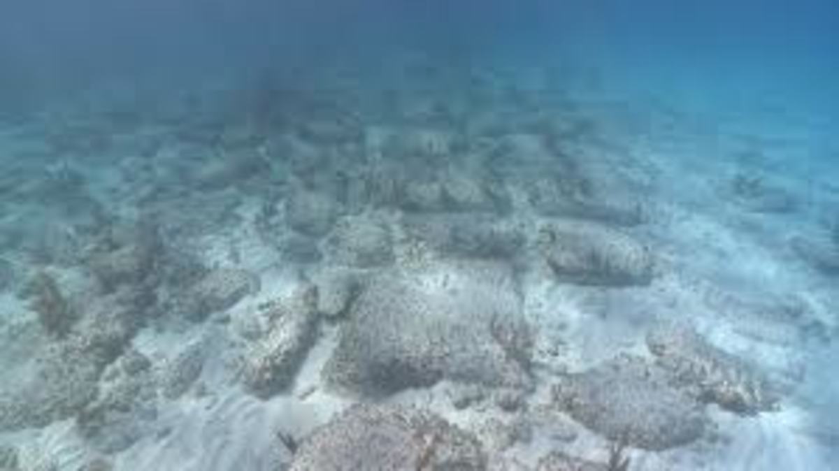 Bimini Road: A Road to Nowhere? - HubPages