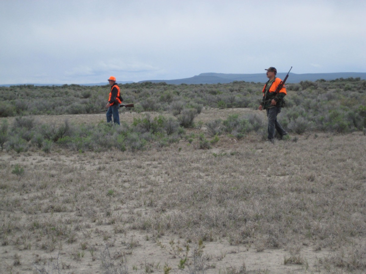 Small Game and Varminting - HubPages