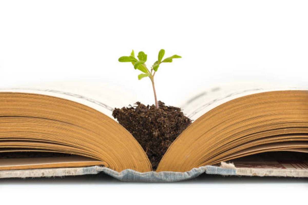 The Teacher Creates A Classic Literature Reading List For Middle School