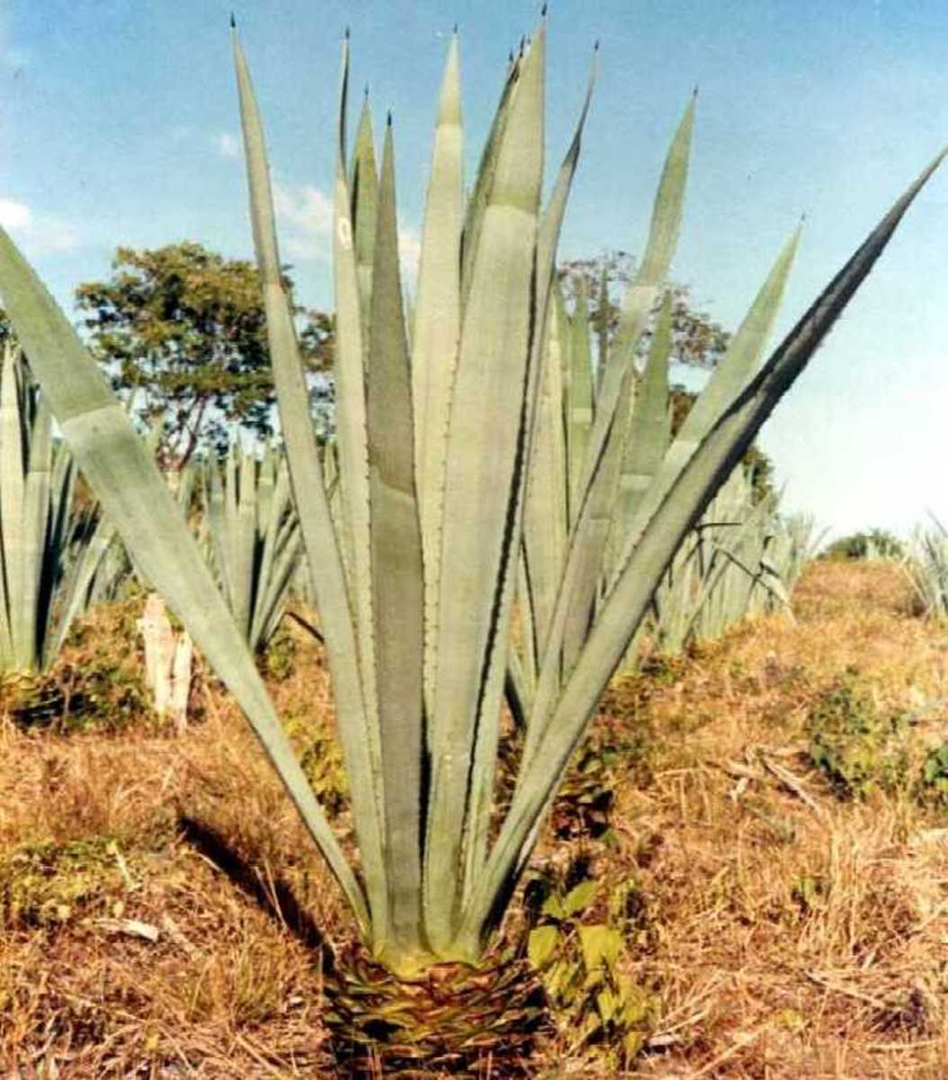 Philippine Handicraft Industry: Their Benefits and Importance - HubPages