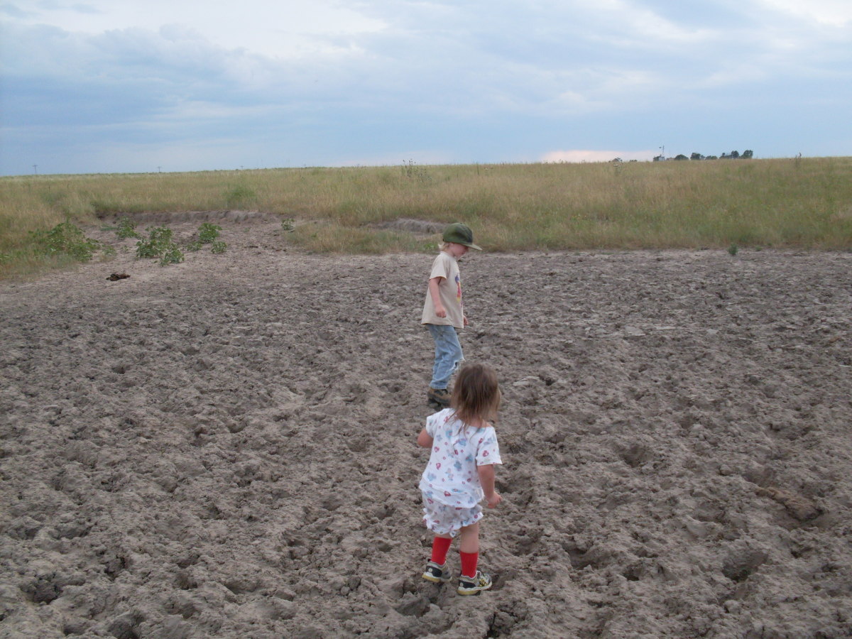 The Buffalo Wallow: Essay and Pictures Detailing an Aspect of American ...