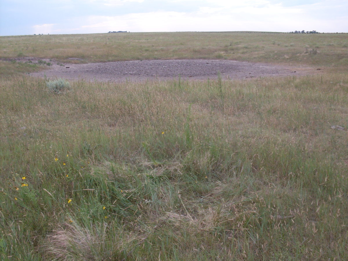 The Buffalo Wallow: Essay and Pictures Detailing an Aspect of American ...