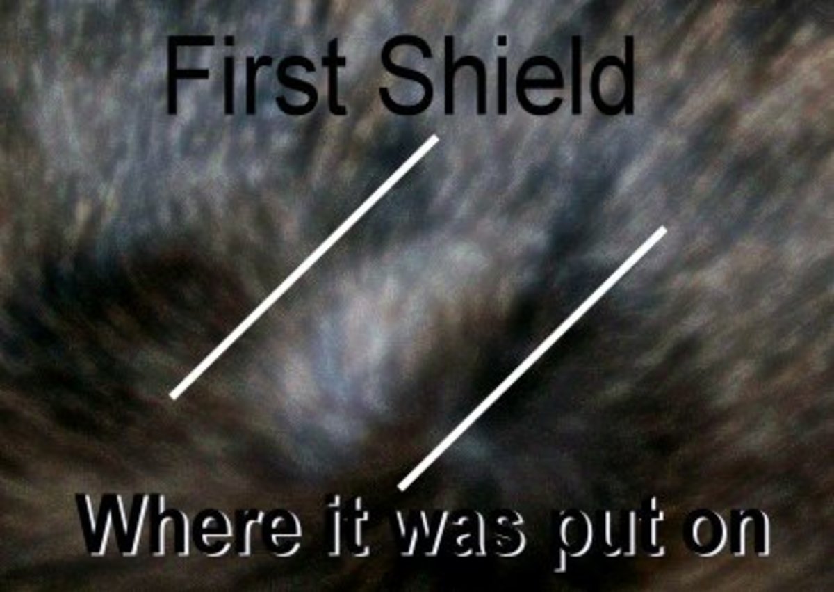 First Shield Flea Medication for Cats & Dogs is Poison - HubPages