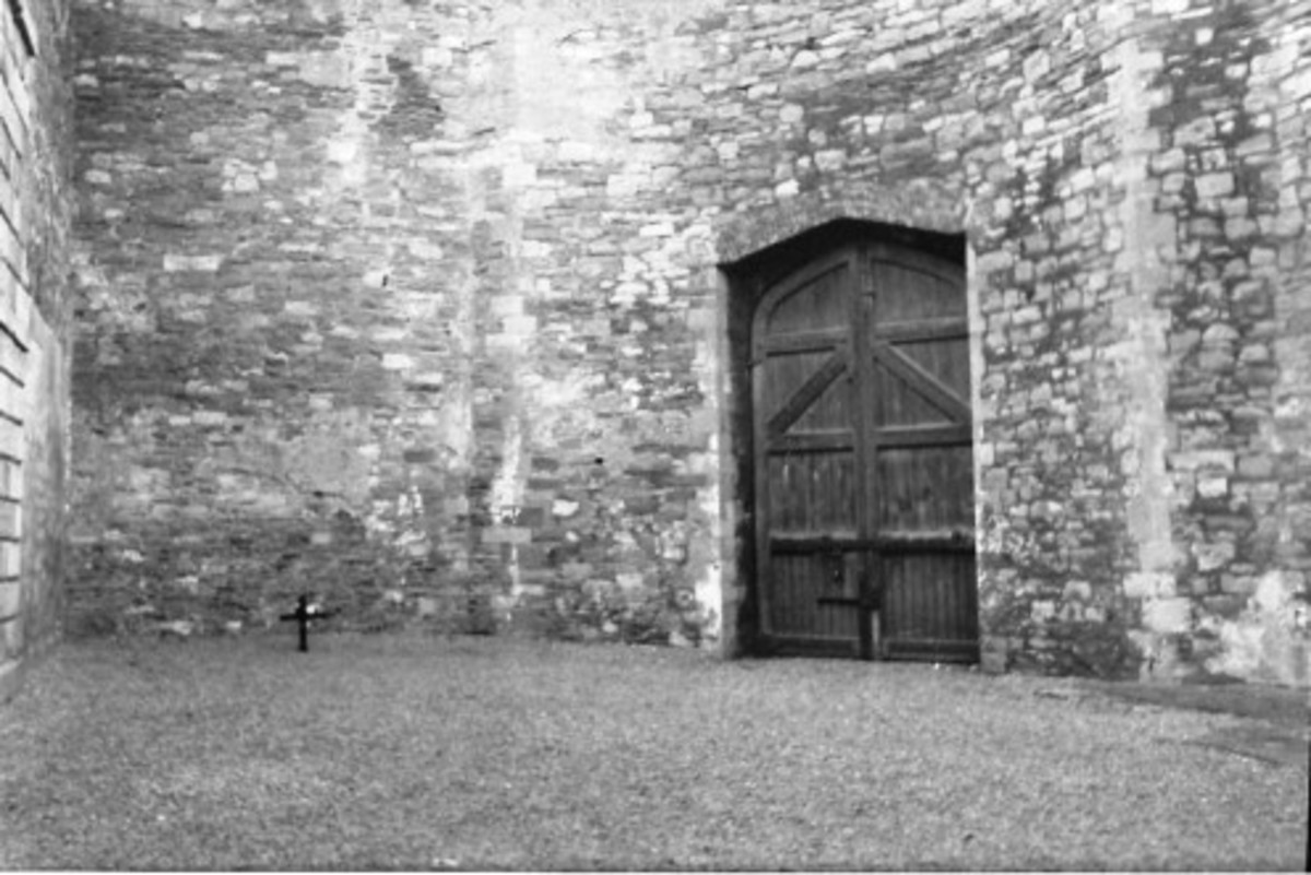 The 1916 Easter Rising in Dublin Ireland With James Connolly - HubPages