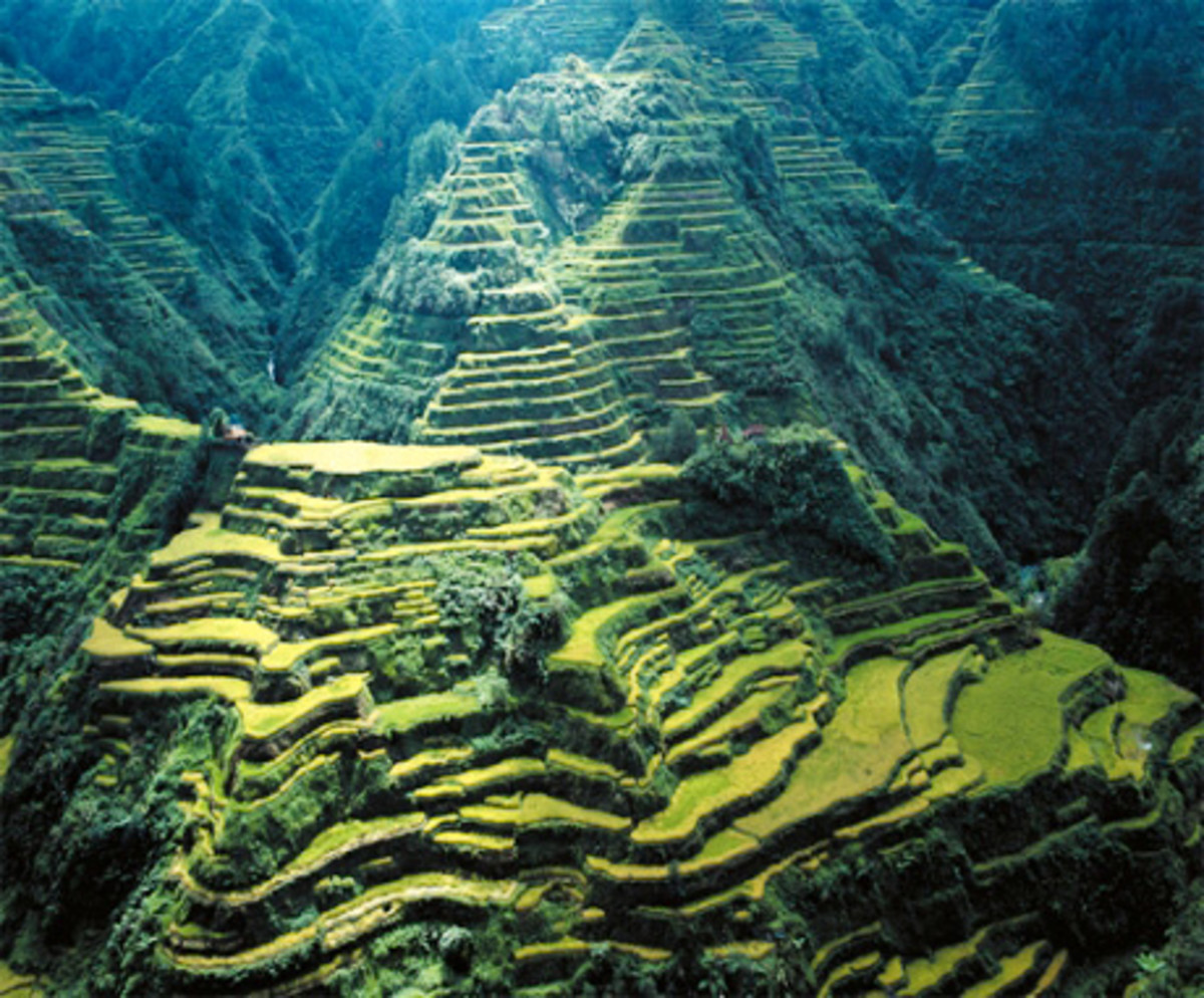 Igorot Warrior Headhunters of the Philippine Cordilleras - HubPages