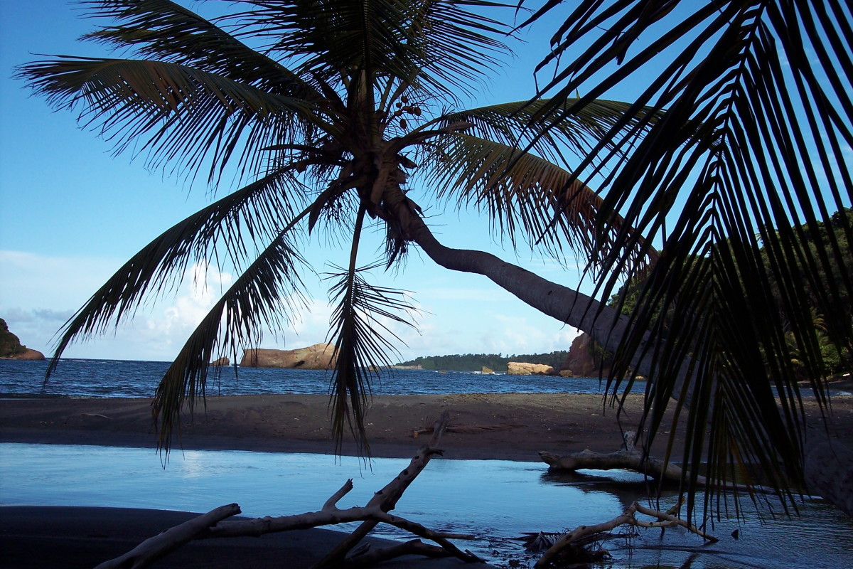 Dominica Carib People: Kalinago War and Warners - HubPages