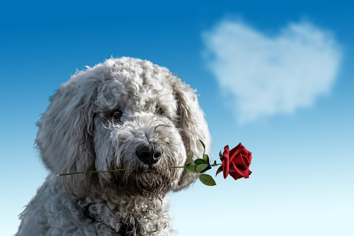 Forgiveness and Letting Go - HubPages