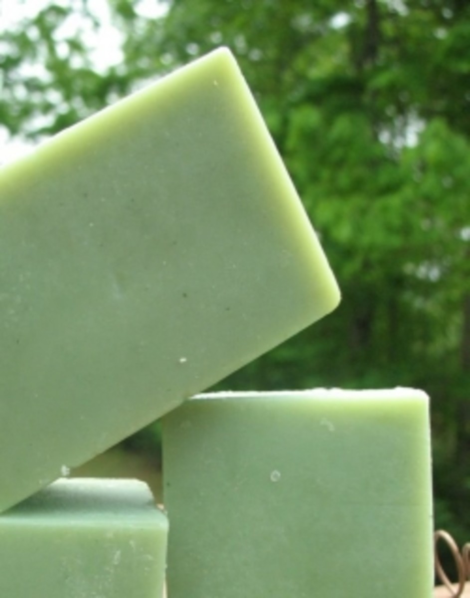 Kudzu: The vine that ate the south - HubPages