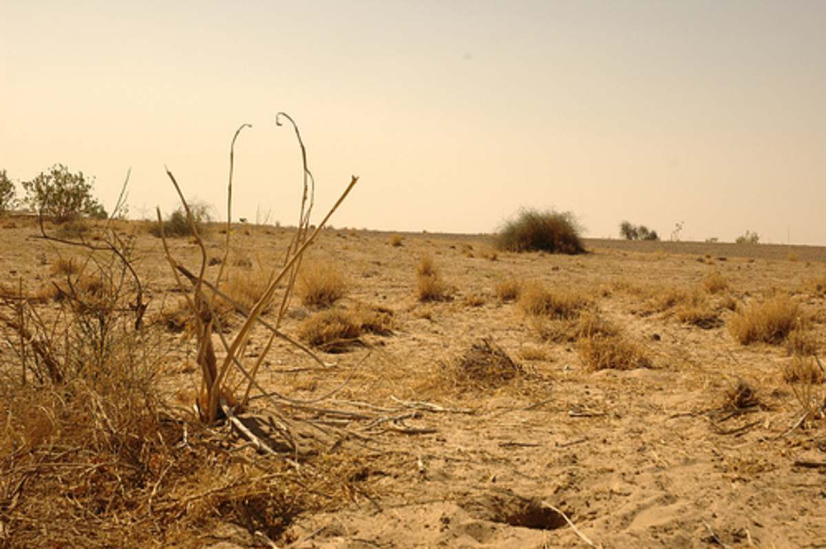 Famous Deserts Of The World - HubPages