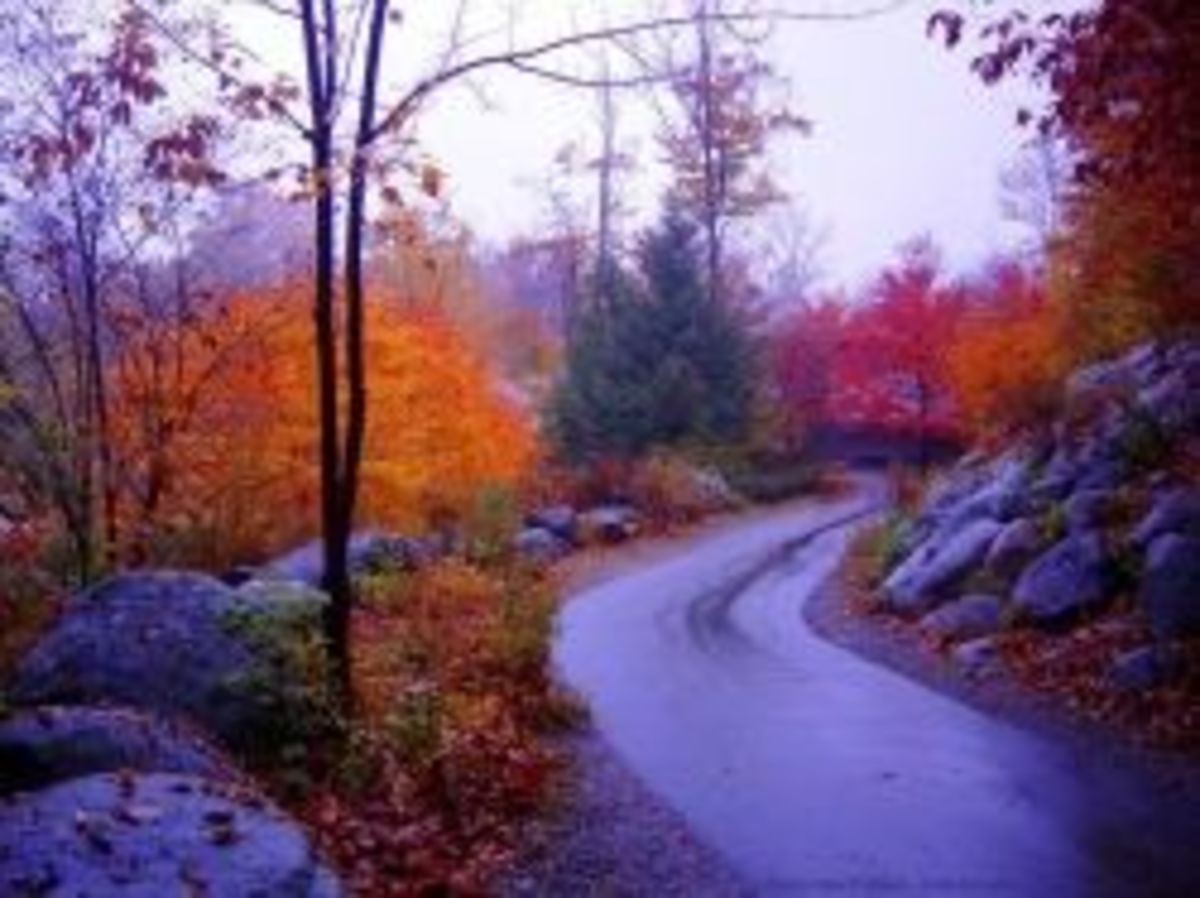 Lesser Known Poems of Robert Frost - HubPages