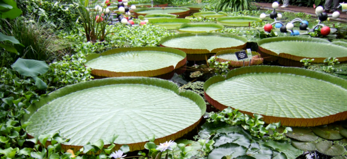 The Most Beautiful Garden in Europe - HubPages