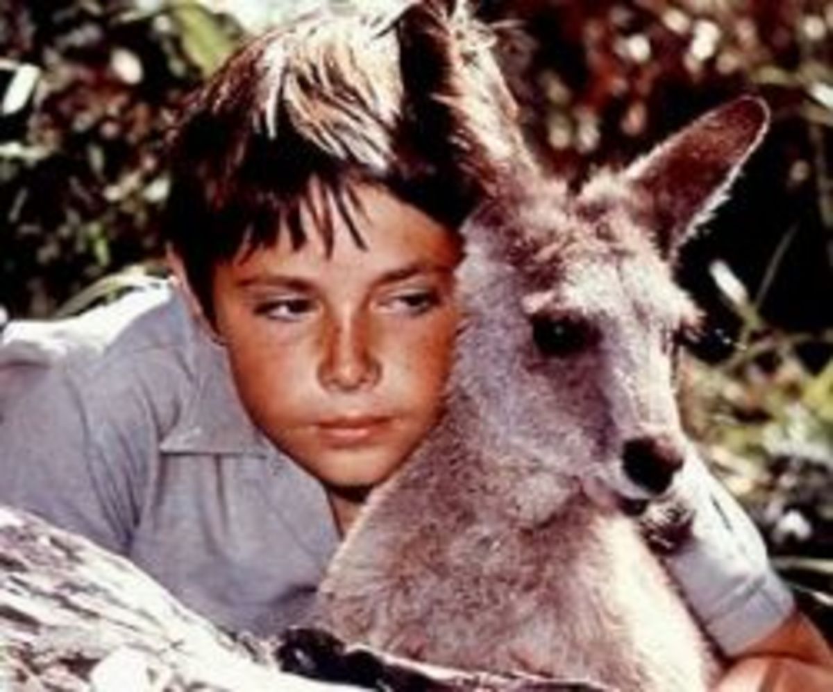 Skippy the bush kangaroo - HubPages