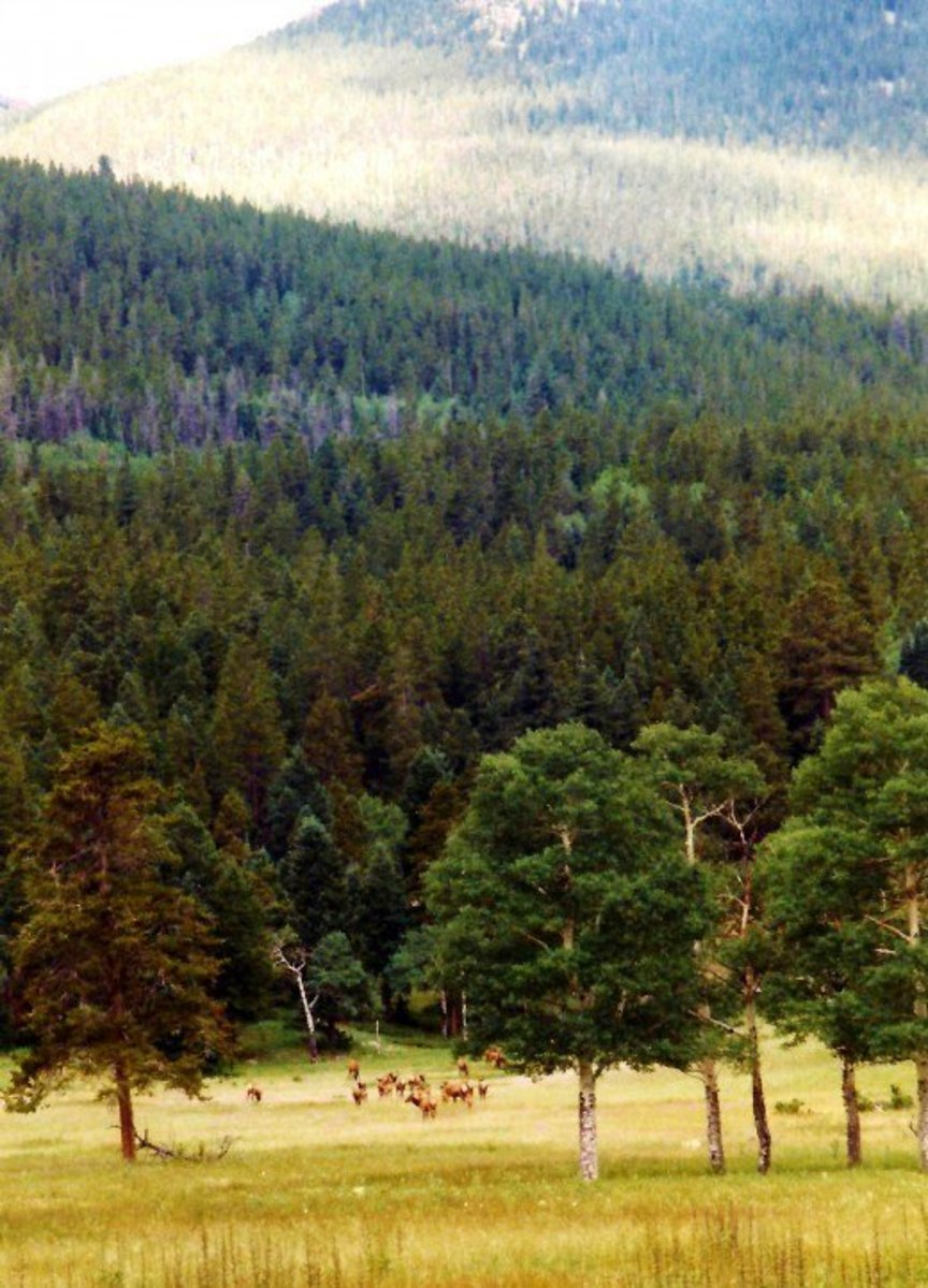 Continental Divide Rivers