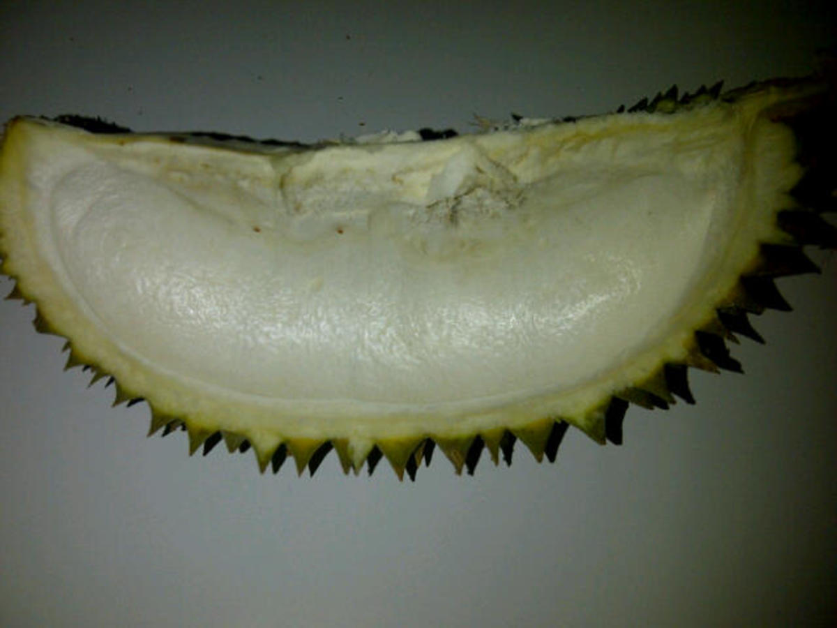 Unique Facts and Benefits of Durian. - HubPages