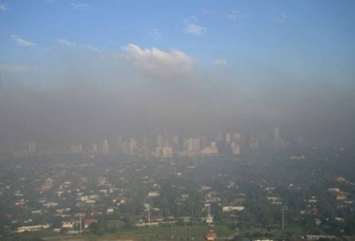 Smoke Belching and the Environment - HubPages