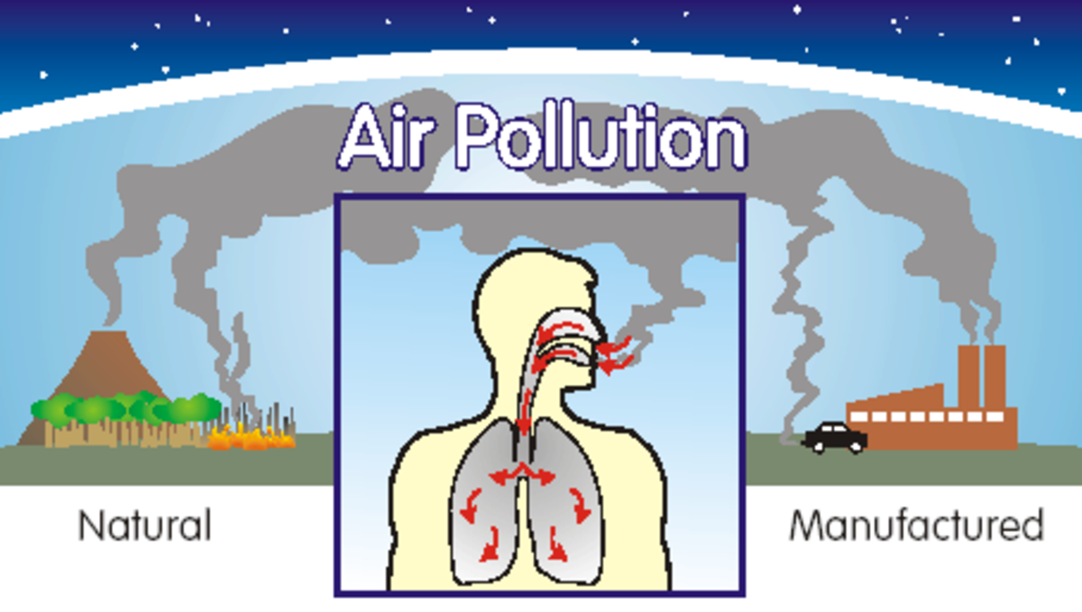 Smoke Belching and the Environment - HubPages