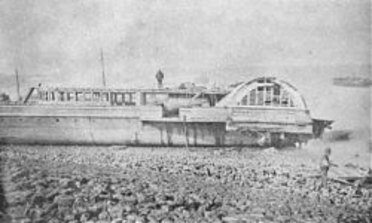 Rosherville: Victorian Pleasure Gardens in 1837 Badly Affected by the ...