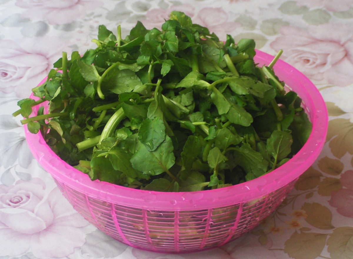 Watercress Soup Recipe : Chinese Style - HubPages